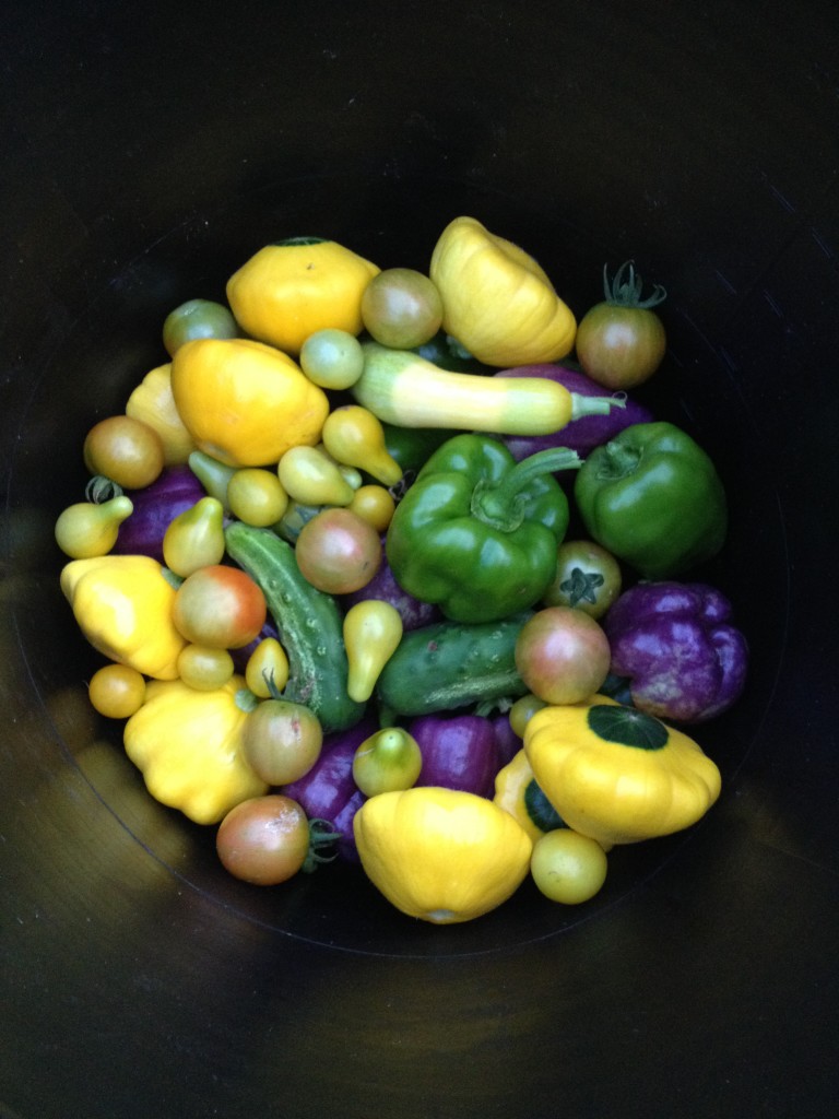Foundations for Farming USA | Bringing transformation to individuals ...